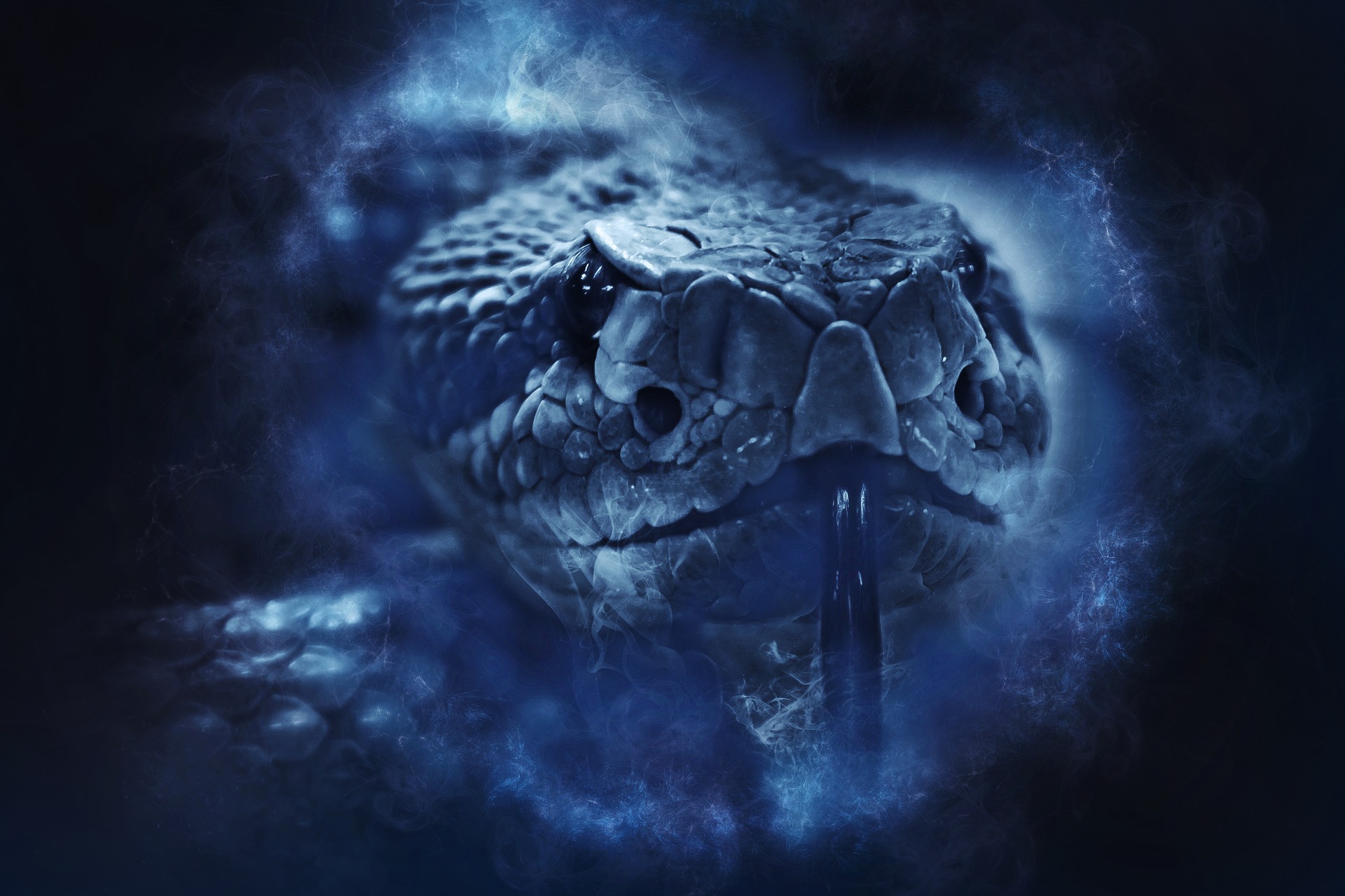 Year Of The Snake 2013 Witches Lore