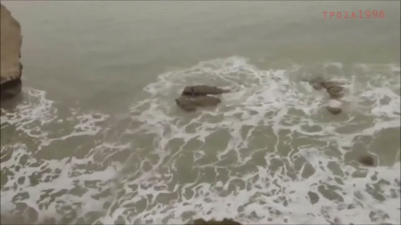 Genuine Mermaid Encounter: Astonishing Sighting Off the Coast of Israel ...