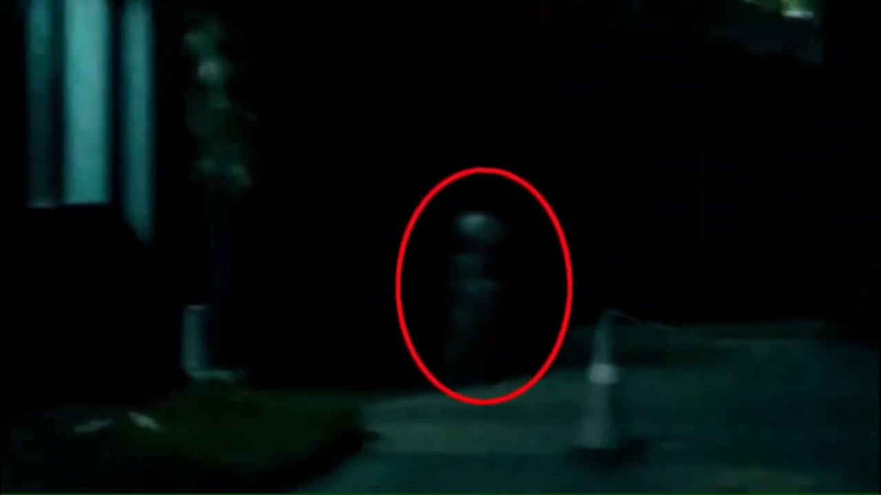 Cryptid Caught on Camera